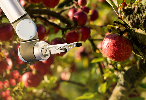 Food & Hunger Archives - HumanProgress